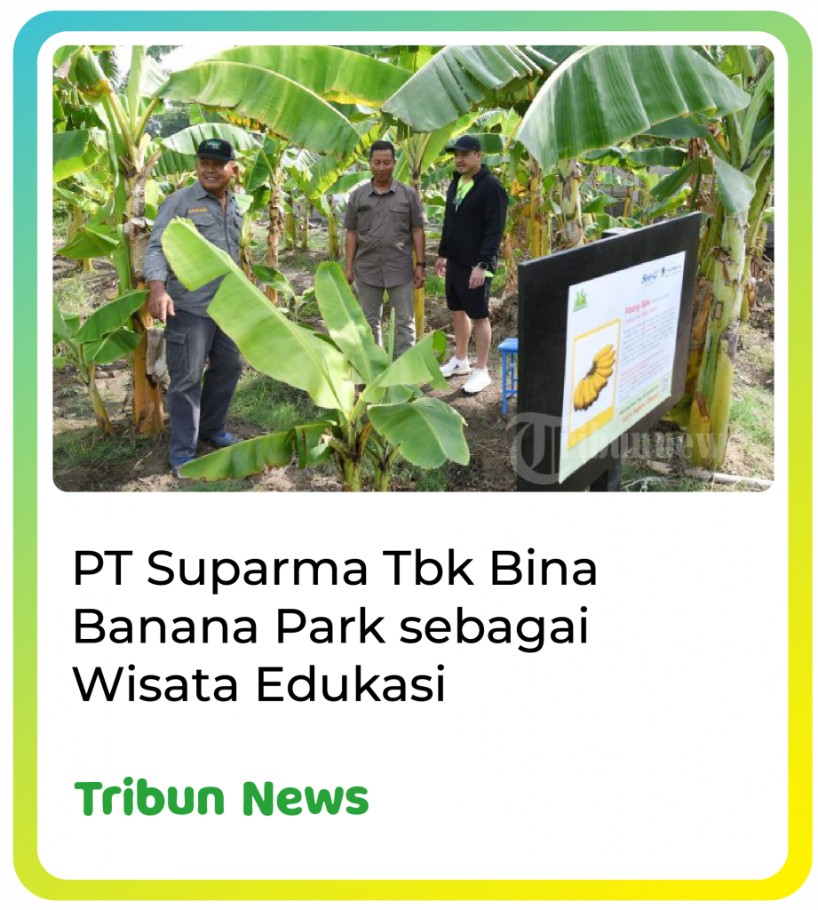 banana park - Aplikasi QR Code PT. Suparma Tbk